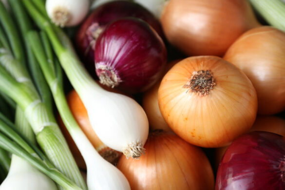 Everything You Always Wanted to Know About Onions - Nspirement