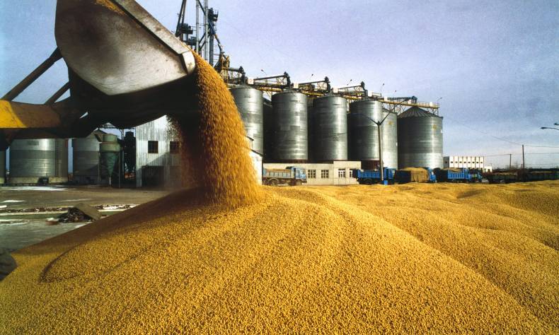 China’s Cat Guards: Training Cats to Watch Over a Granary - Nspirement