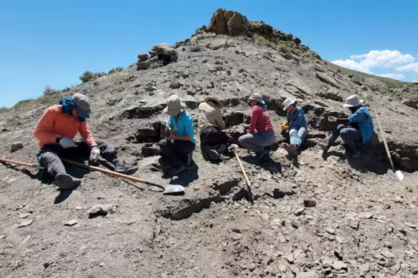 How Can I Become a Paleontologist? 5 Tips From a Professional Fossil ...