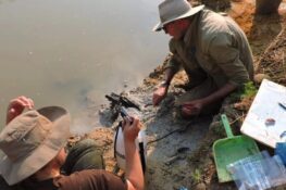 Howard Storm’s Near-Death Experience: Surviving a Haunting Day in Hell ...