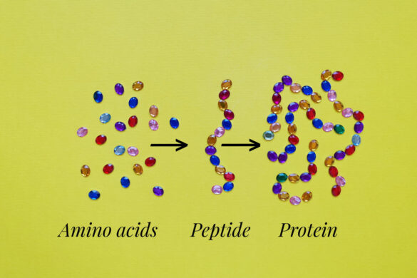Resurrecting Ancient Plants: A Deep-Dive Into Paleobotany - Nspirement
