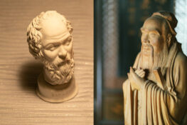 The Dynamite Killer Tree: Fascinating Facts About the Infamous Sandbox ...