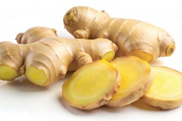 Tippi, the Girl Who Grew Up With Her Wild African Animal Friends. Where ...