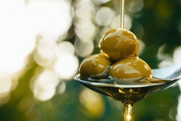 Tippi, the Girl Who Grew Up With Her Wild African Animal Friends. Where ...