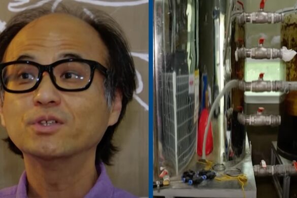 The Dynamite Killer Tree: Fascinating Facts About the Infamous Sandbox ...