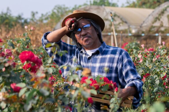 The Mysterious ‘Chinese Romans’ of Liqian - Nspirement