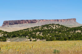 Festinger’s Law: You Can Take Charge of Your Life - Nspirement