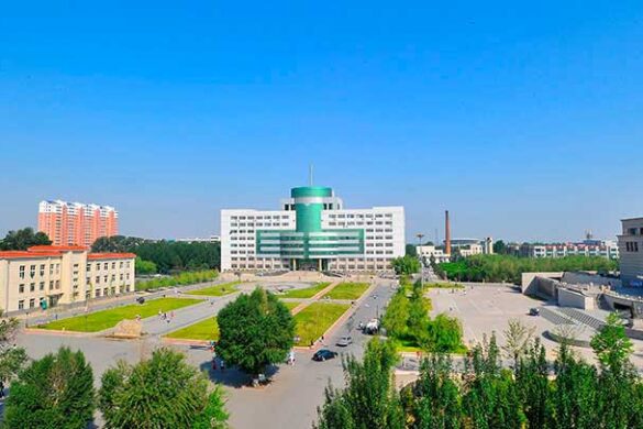 10 Cutest Ocean Animals That Will Surely Make You Smile - Nspirement