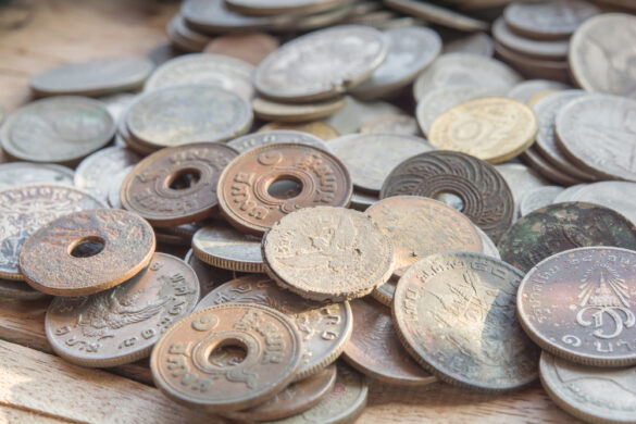 Tippi, the Girl Who Grew Up With Her Wild African Animal Friends. Where ...