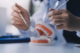 Regrowing Teeth: Is Toregem Biopharma's Vision a Reality? - Nspirement