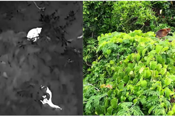 Lensless Camera Creates 3D Images From a Single Exposure - Nspirement