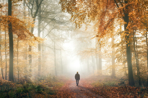 Premonitions of Death: Mysterious Signs and Scientific Insights ...