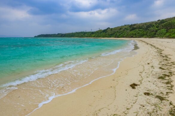 The Mysterious Star Sand of Okinawa: A Celestial Wonder Shaped by ...