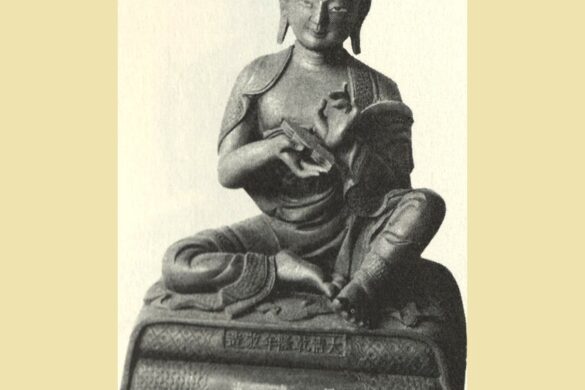 10 Cutest Ocean Animals That Will Surely Make You Smile - Nspirement