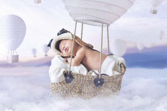 10 Cutest Ocean Animals That Will Surely Make You Smile - Nspirement