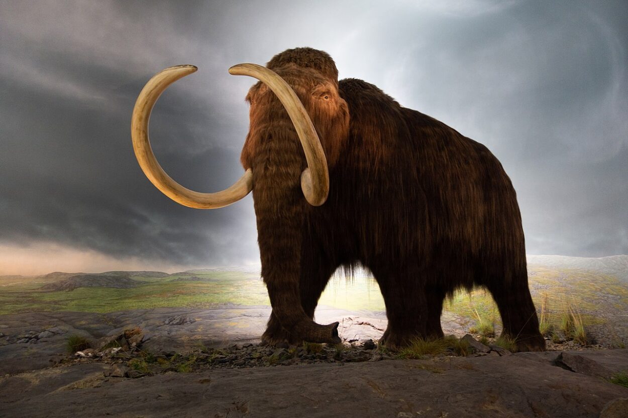 Why Are We So Obsessed With Bringing Back the Woolly Mammoth? - Nspirement