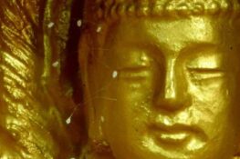 Udumbara: The Flower of Celestial Promise - Nspirement