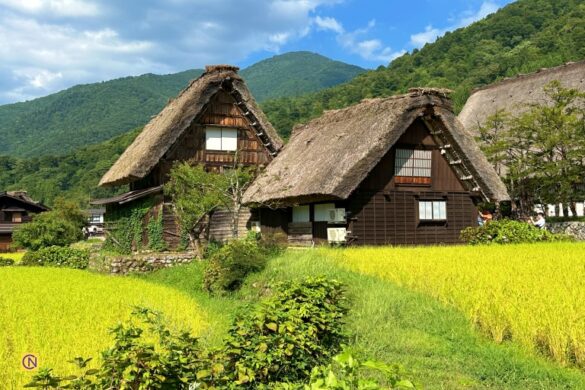 Made in China: Tofu Buildings - Nspirement