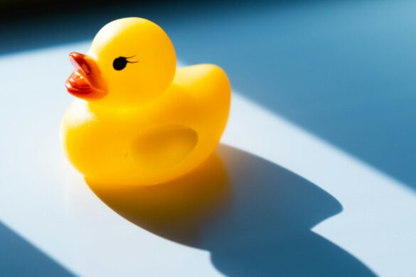 Stuck on a Problem? Talking to a Rubber Duck Might Unlock the solution - Nspirement